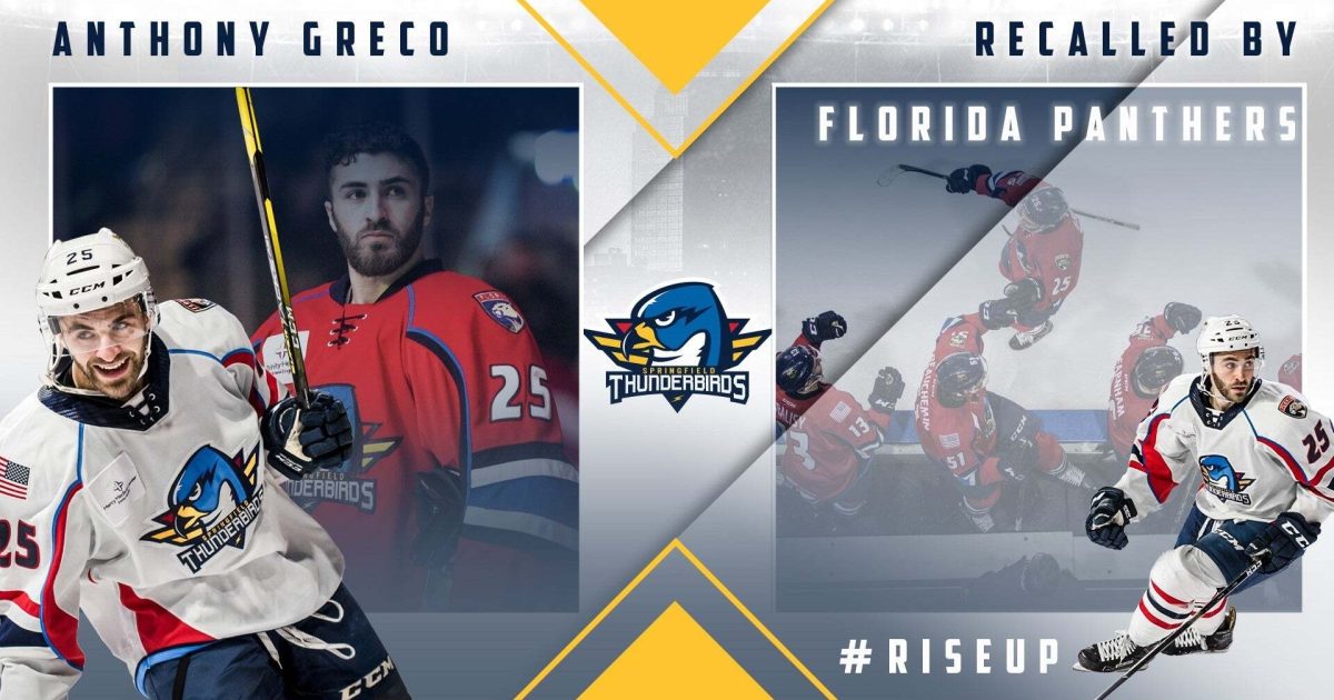 Springfield Thunderbirds | Panthers Recall F Anthony Greco from…