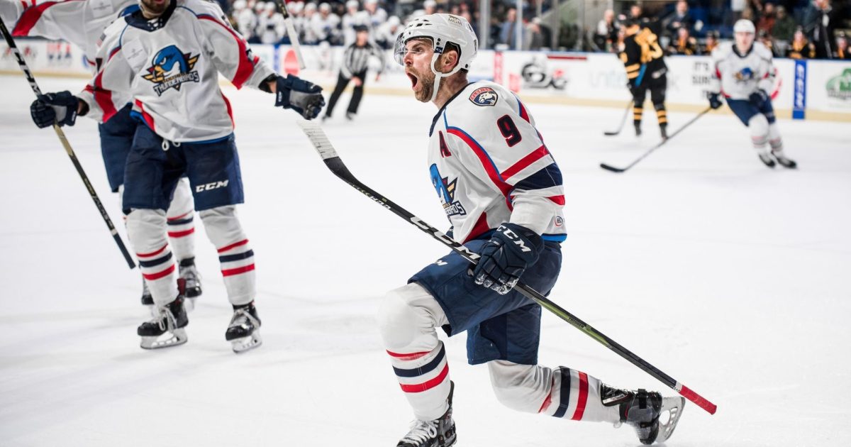 Springfield Thunderbirds | HARRY Z, T-BIRDS HAUNT BRUINS FOR 4TH…