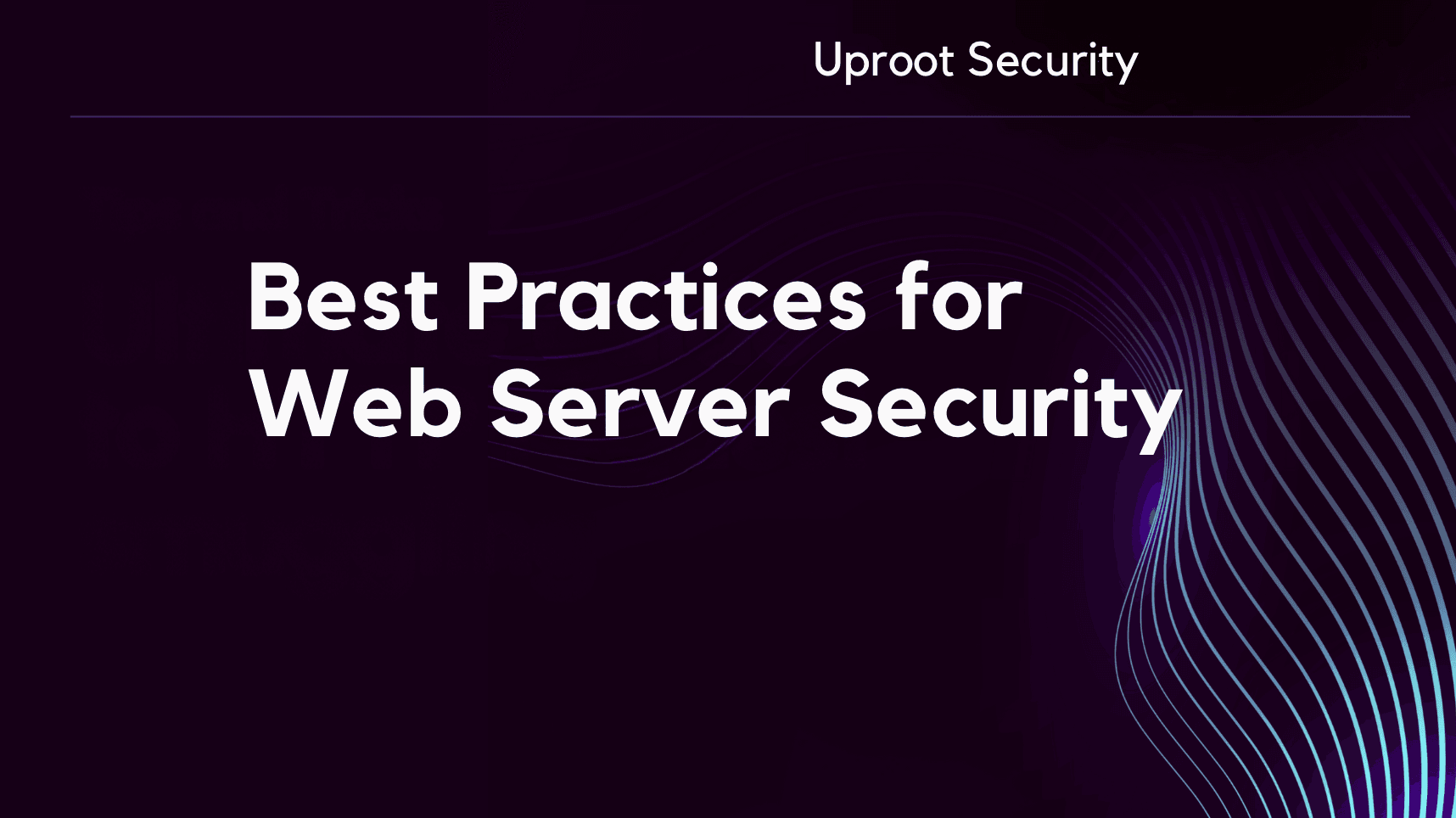 Best Practices for Web Server Security
