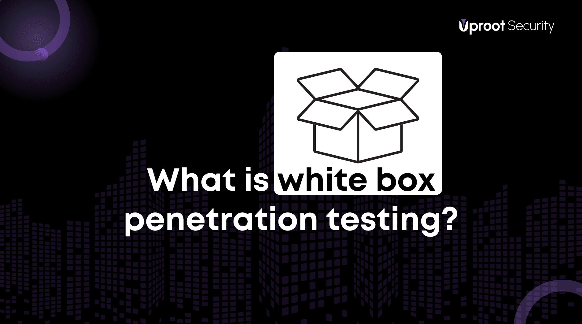White Box Penetration Testing: What It Is & Why It Matters