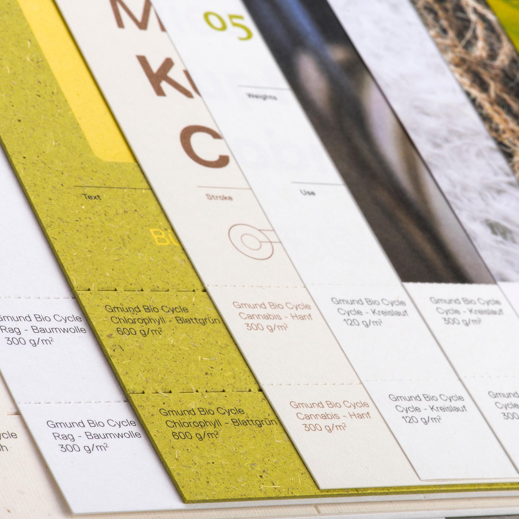 Bio Cycle Promo Piece