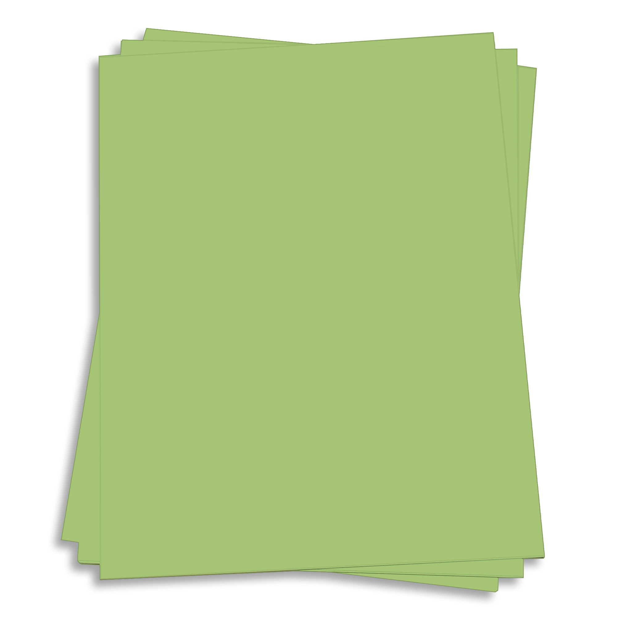 Olive Green Cardstock Paper - 11x17 Cardstock, 111lb Cover