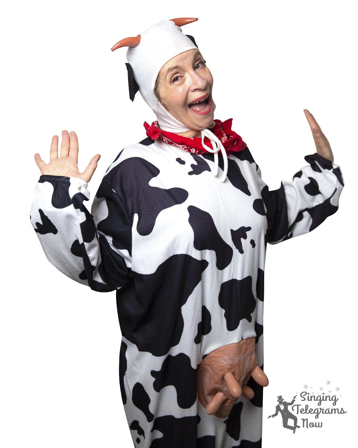 Betsy The Cow`s Details