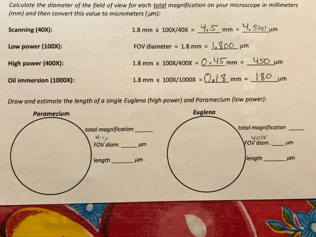Extracted Text Calculate The Diameter Of The Field Of View For Each 