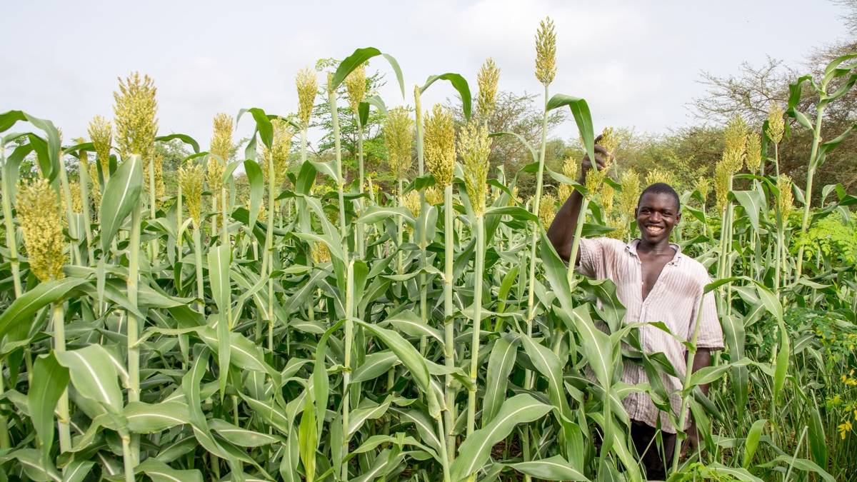 Terms of Use - Privacy Policy - Code of Conduct