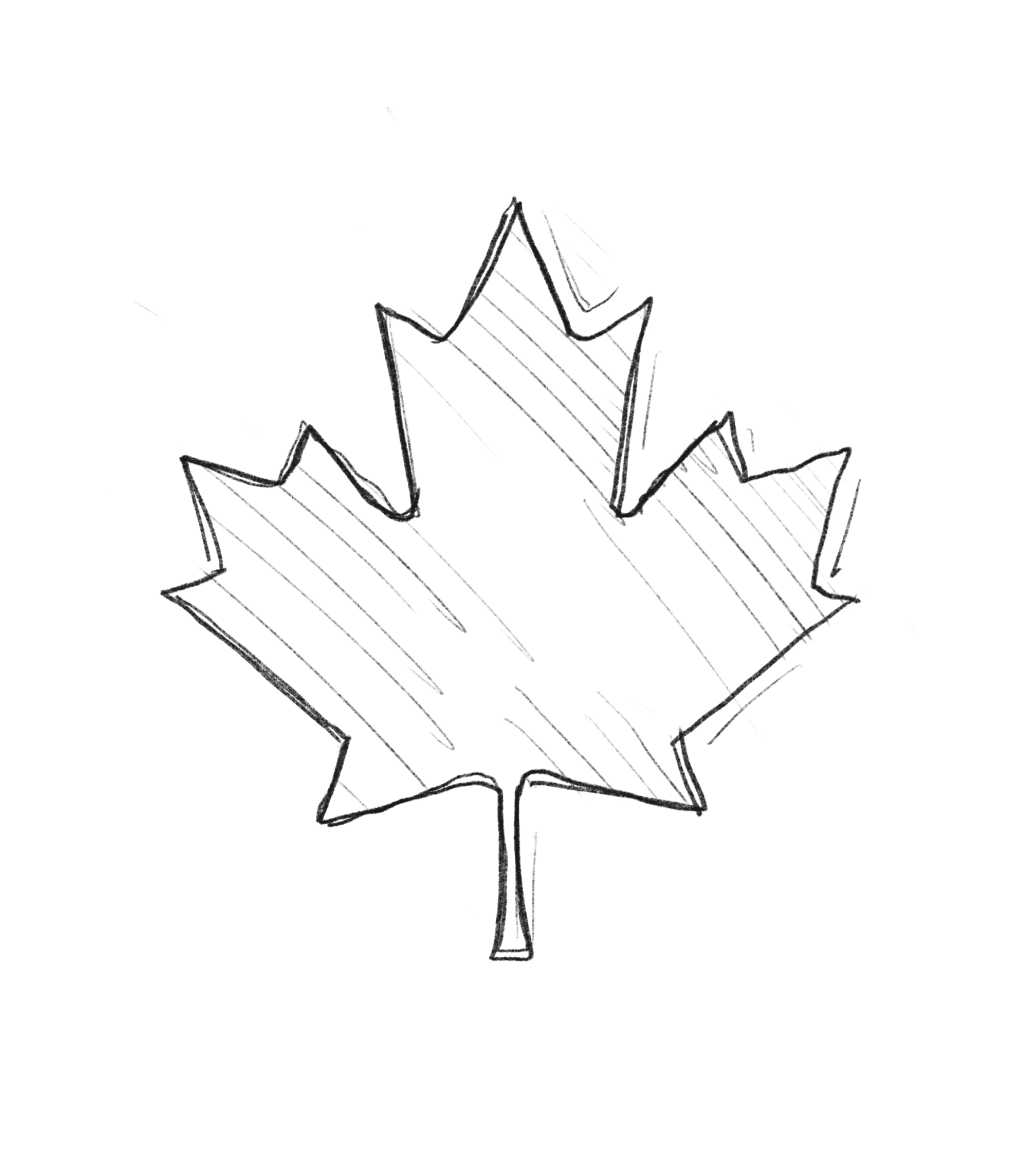 About – Time Equities Inc.