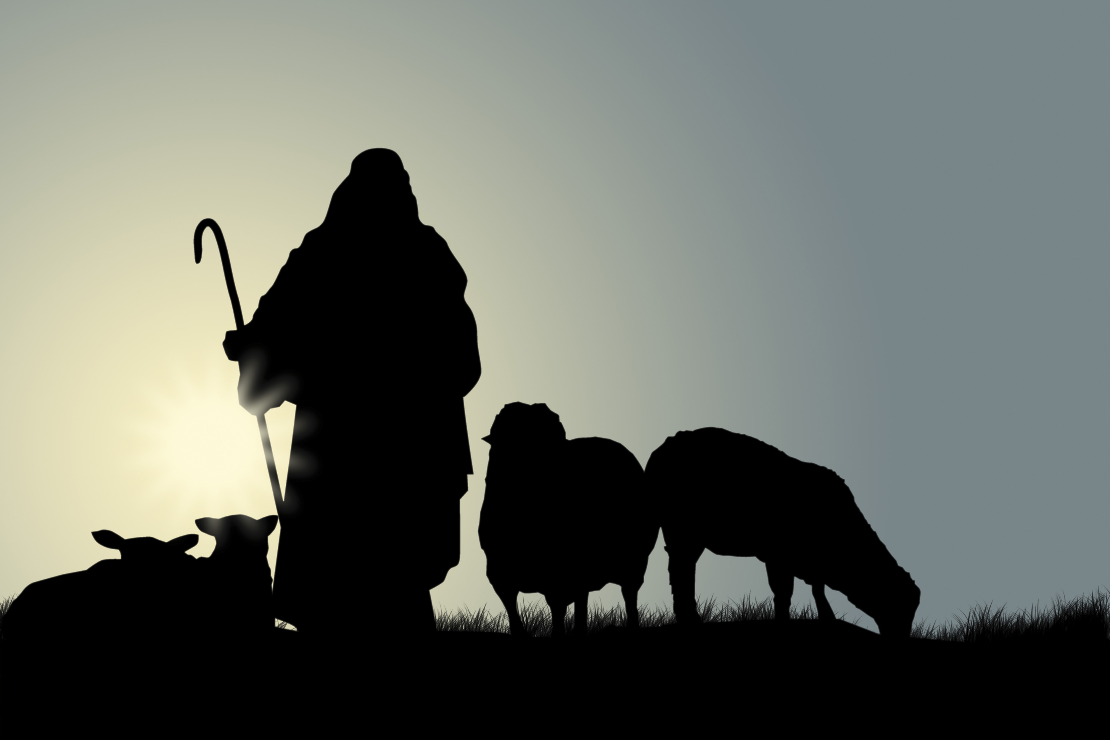Our Good Shepherd — Today Daily Devotional
