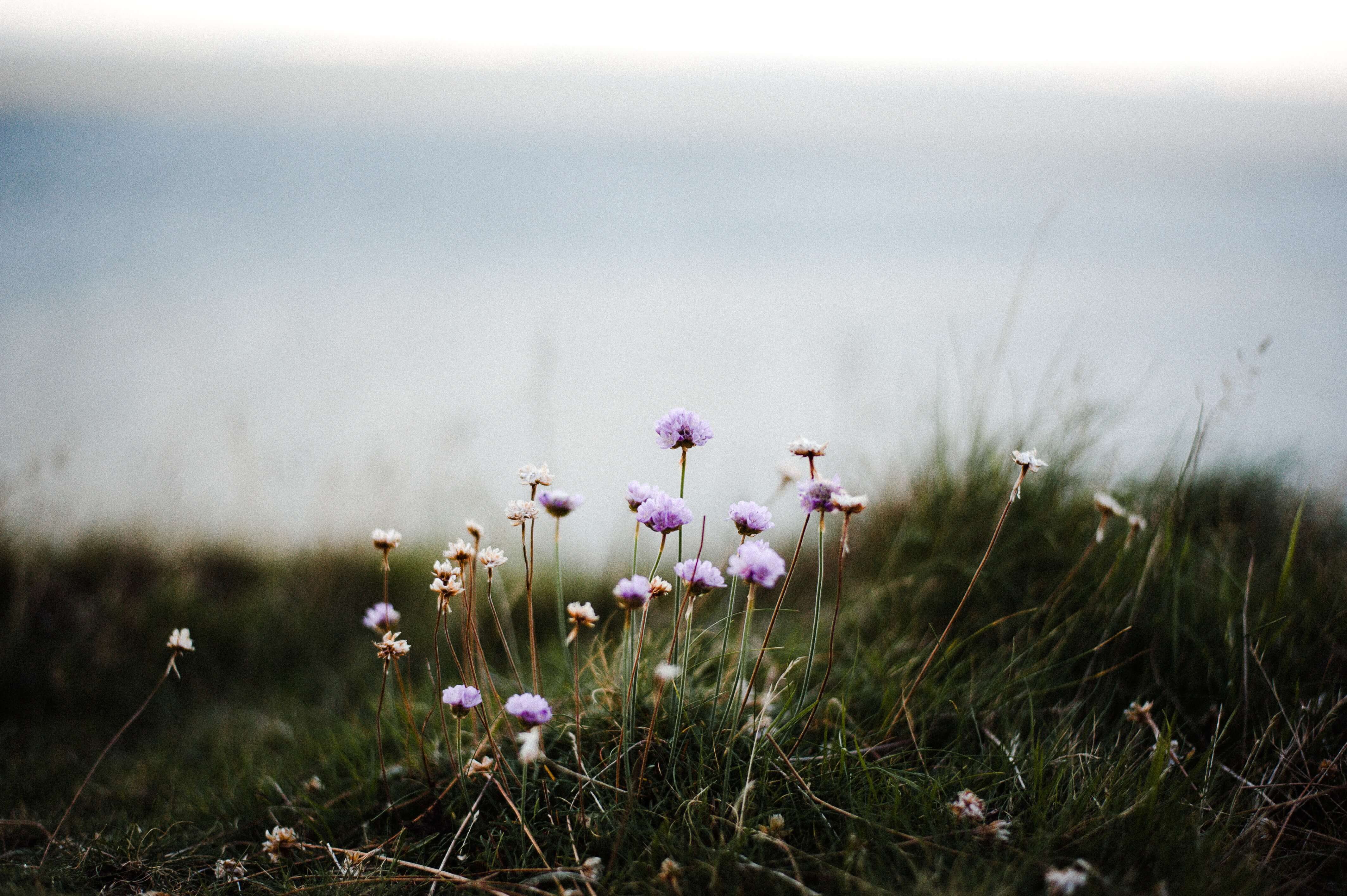 Little, Extraordinary Things — Today Daily Devotional