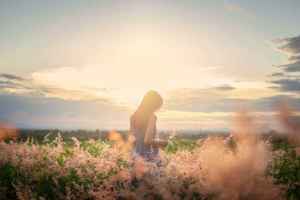 The Lamb Without Blemish — Today Daily Devotional