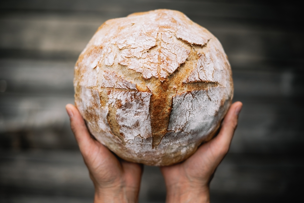 How Many Loaves Do You Have? — Today Daily Devotional