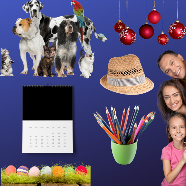 Learn Fun Beginners French for kids