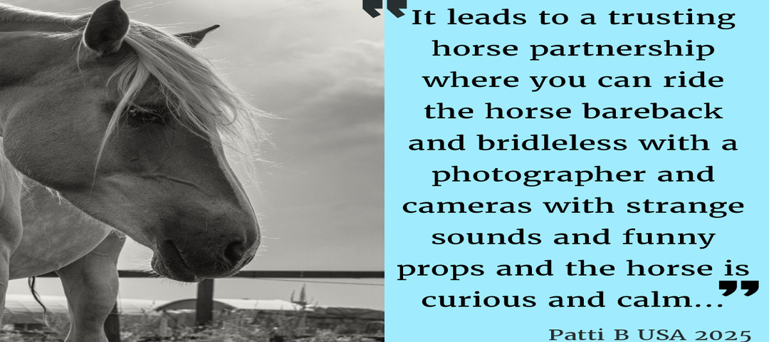 Alternative Horsemanship™ the Remote Horse Coach Video Catalog