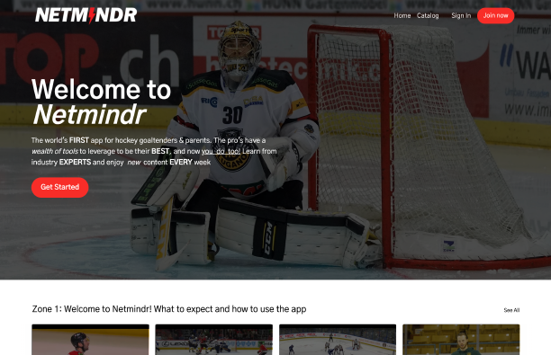 Online digital goalie training
