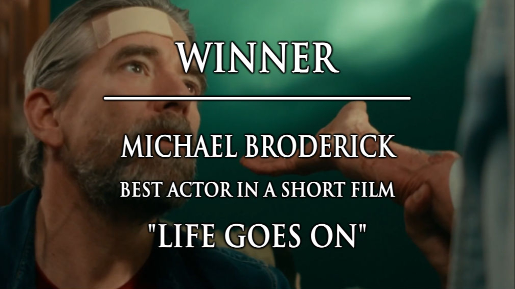 Life Fest International