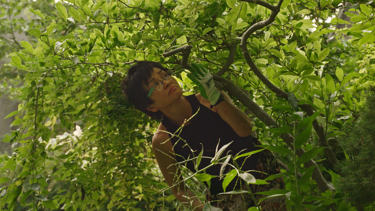 Meet a Remarkable Group of Creative Gardeners in Season 2 of Visionary ...